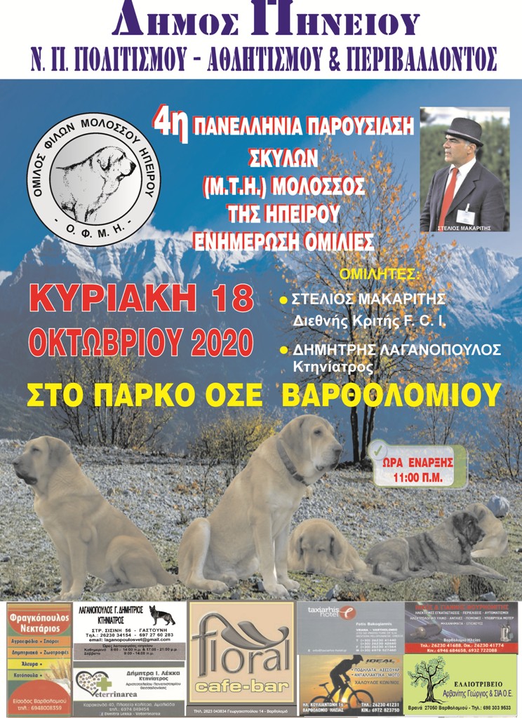 Εκδηλώσεις στο Δήμο Πηνειού: Μολοσσοί και Άλογα - Πρωτοβουλία Δημάρχου ...